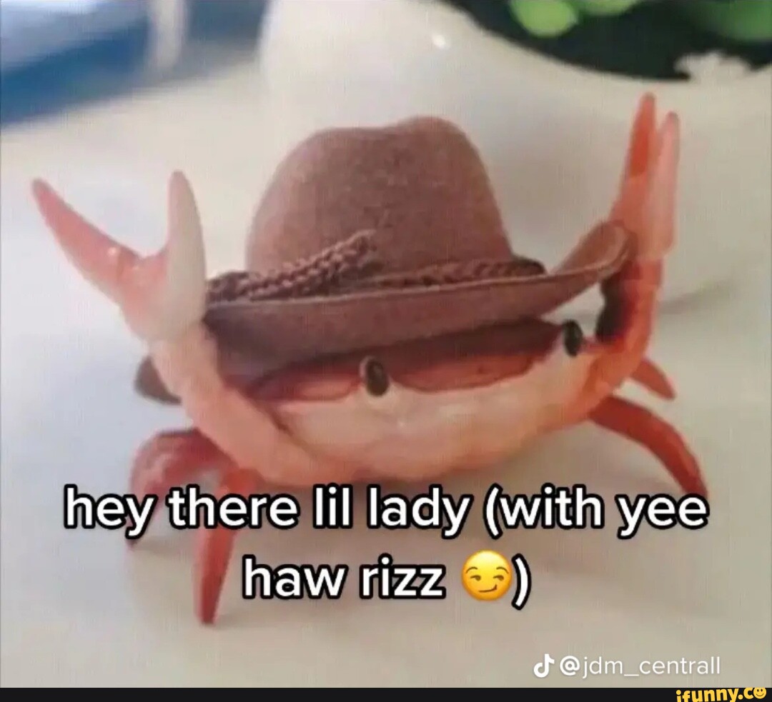 Hey there lil lady (with yee haw rizz ) @jdm_centrall - iFunny