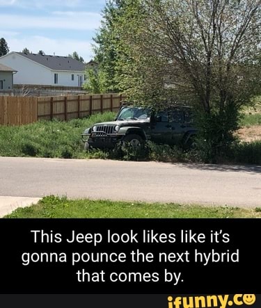 Mercia memes. Best Collection of funny Mercia pictures on iFunny