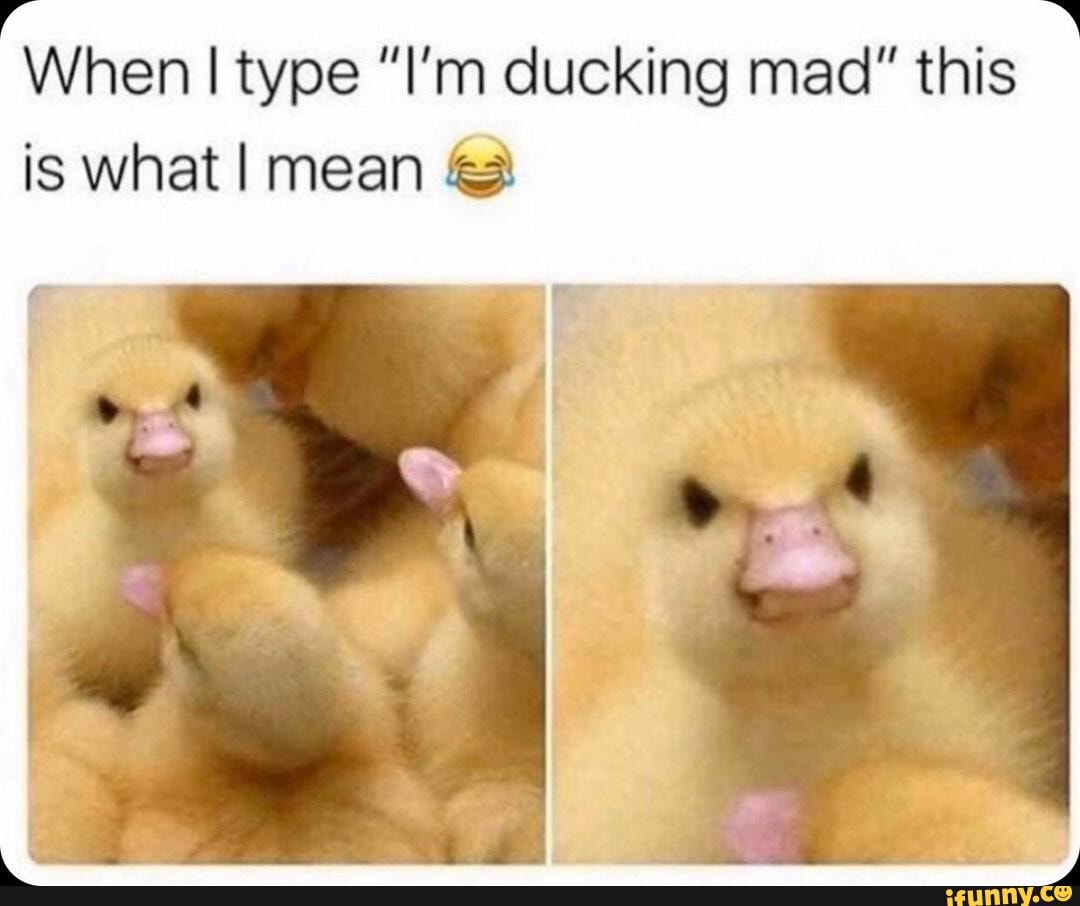 Now this quacked me up ???. - When I type "I'm ducking mad" this is ...