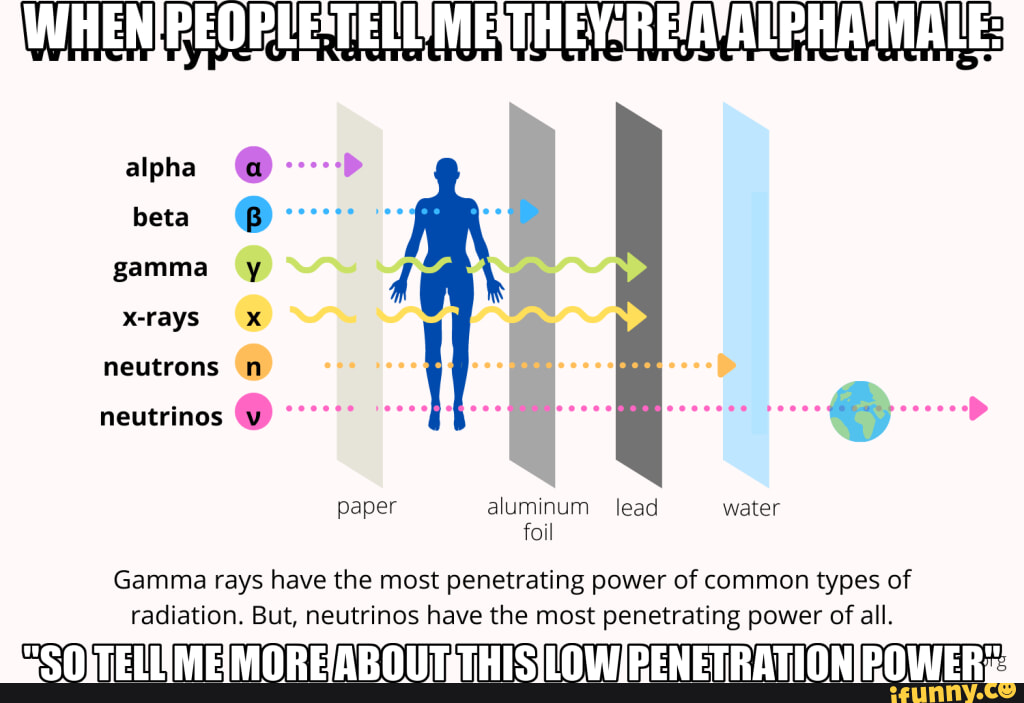 Neutrons memes. Best Collection of funny Neutrons pictures on iFunny