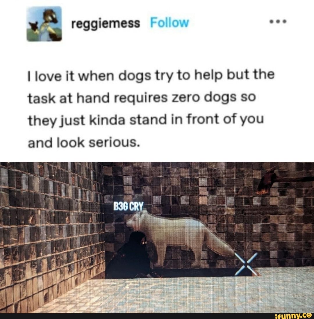 I love it when dogs try to help but the task at hand requires zero dogs ...