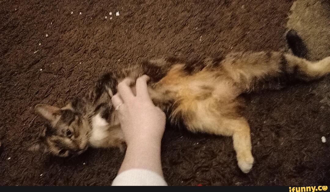 Smiggle memes. Best Collection of funny Smiggle pictures on iFunny