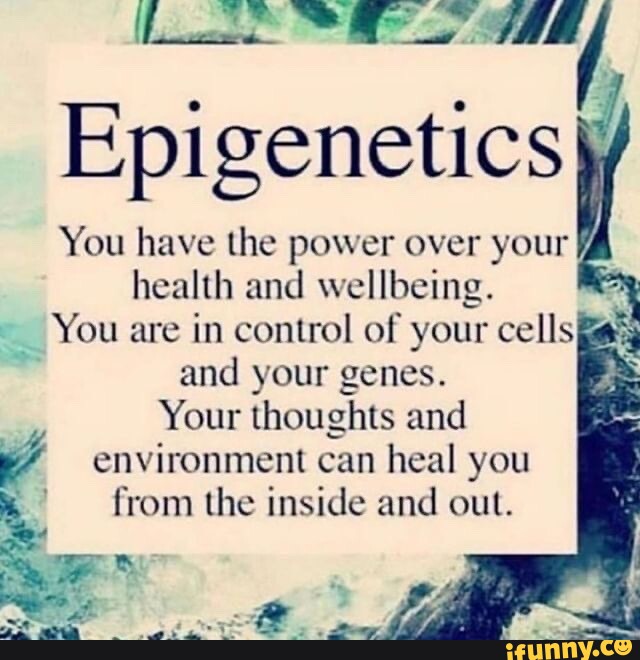 Epigenetics You have the power over your health and wellbeing. I You are in control of your ...