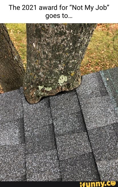 The 2021 award for "Not My Job" goes to... - iFunny
