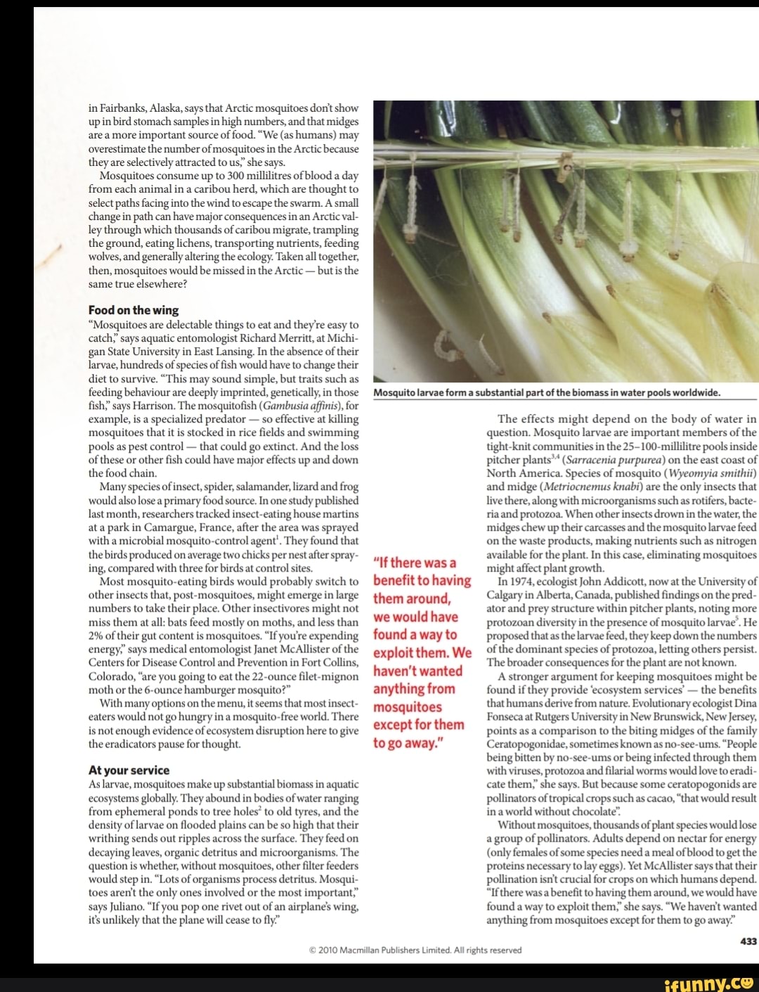 Midges memes. Best Collection of funny Midges pictures on iFunny