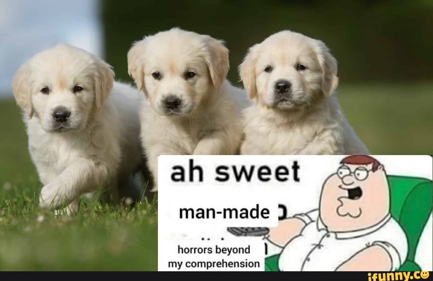 Manmadehorrorsbeyondmycomprehension memes. Best Collection of funny ...