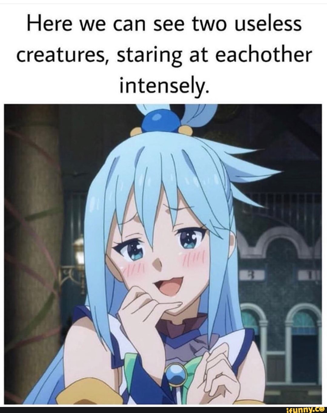 Here we can see two useless creatures, staring at eachother intensely. - iFunny