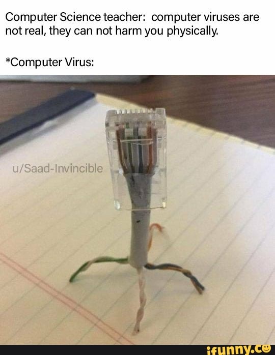 Computer Science teacher: computer viruses are not real, they can not ...