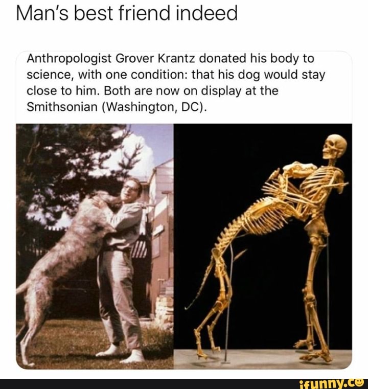 Man's best friend indeed Anthropologist Grover Krantz donated his body ...