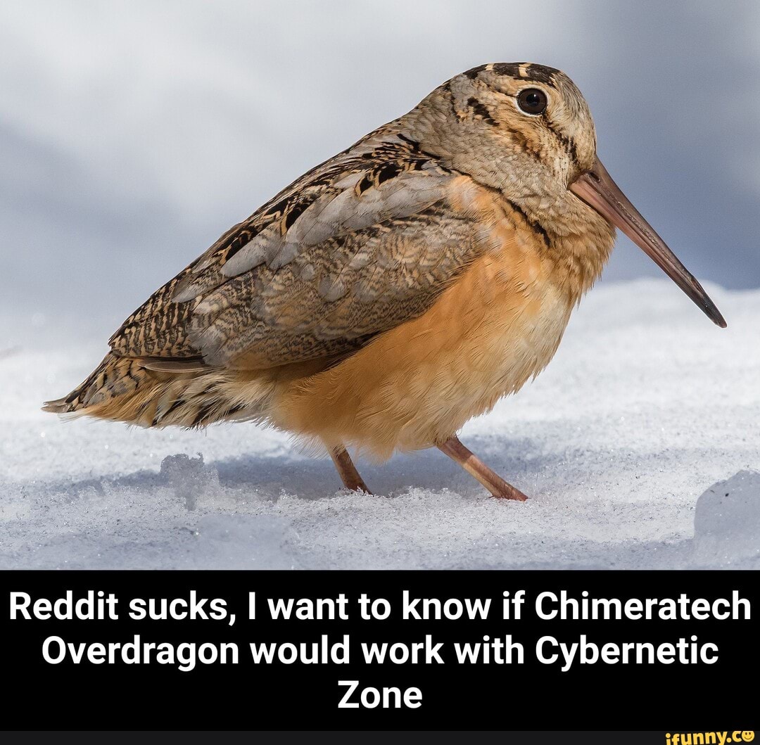 Chimeratech memes. Best Collection of funny Chimeratech pictures on iFunny