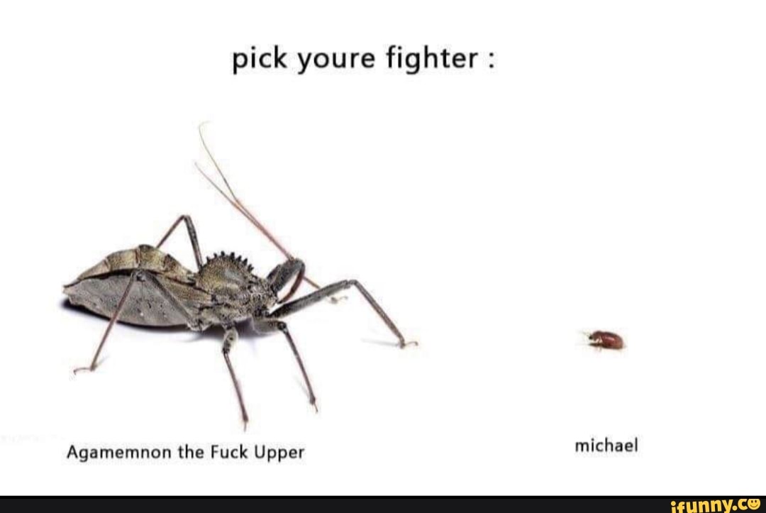 Agamemnon memes. Best Collection of funny Agamemnon pictures on iFunny