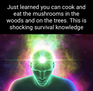Survival memes. Best Collection of funny Survival pictures on iFunny