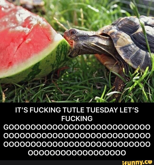 Goooooooooooooooooooooooooooooooooooooooooooooooooooooooooooooooooooooo ...