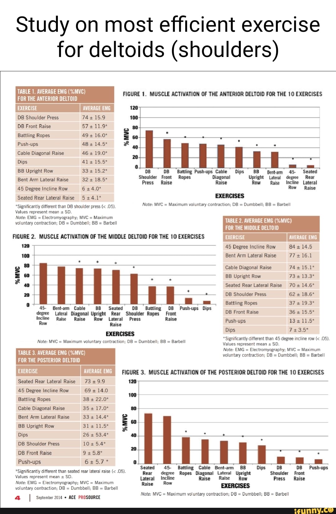 Study on most efficient exercise for del (sho ulders) FIGURE 1. MUSCLE ...