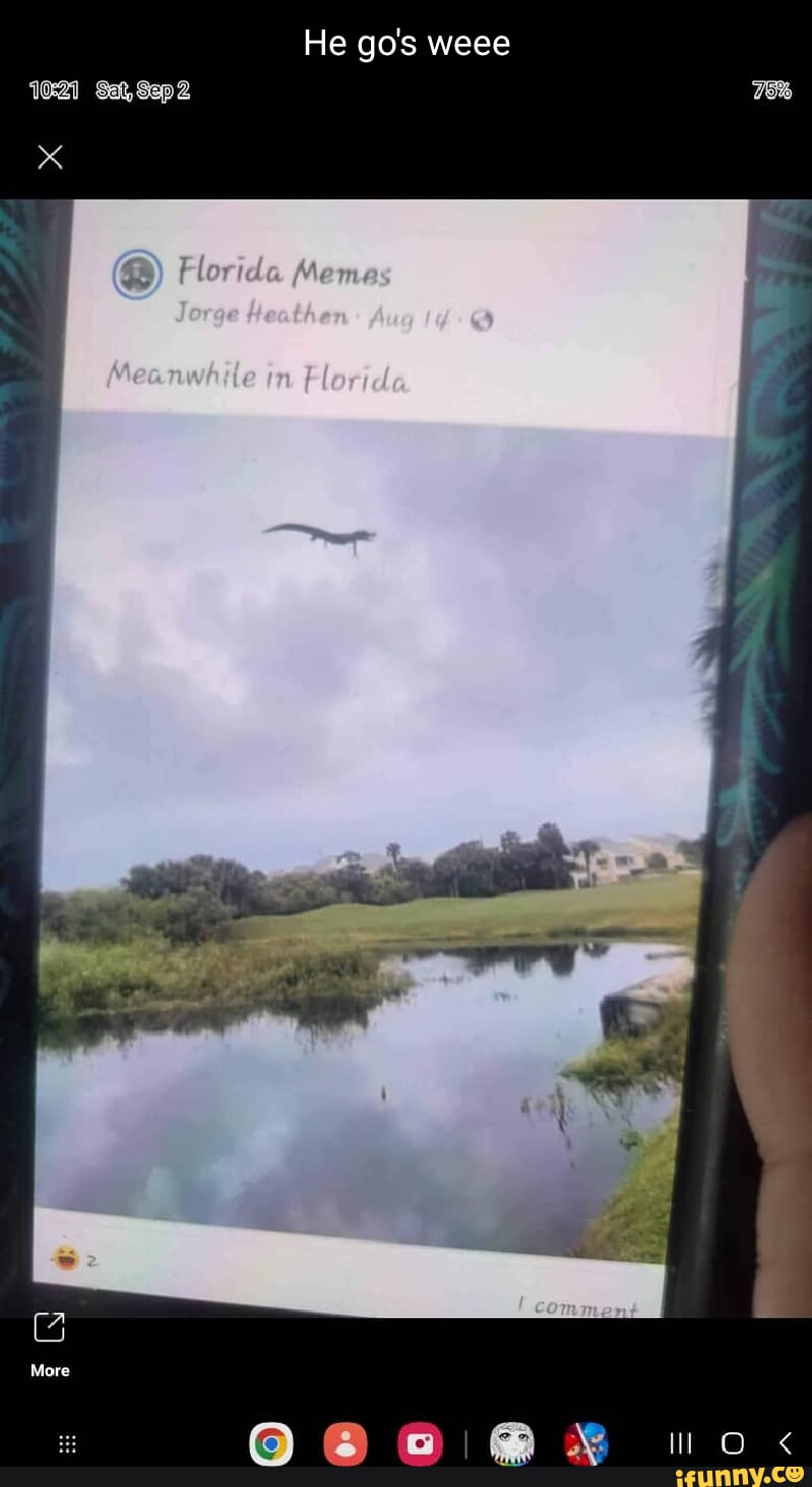 Weee memes. Best Collection of funny Weee pictures on iFunny