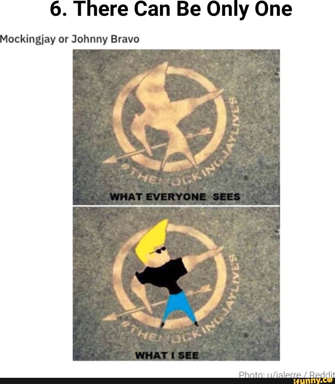 Mockingjay memes. Best Collection of funny Mockingjay pictures on iFunny