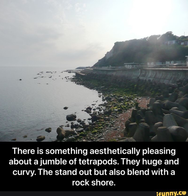 Tetrapod memes. Best Collection of funny Tetrapod pictures on iFunny