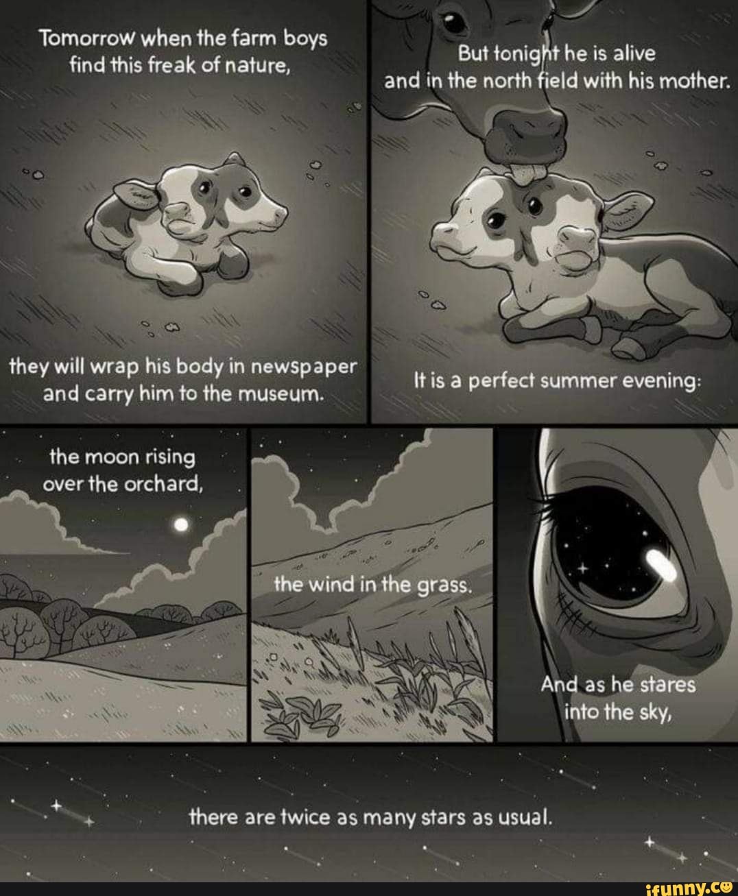 Tomorrow find when this the freak farm boys nature, But ut tonicllt he ...