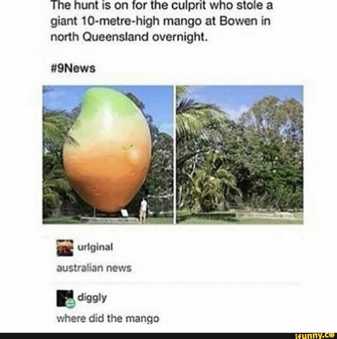 Bowen memes. Best Collection of funny Bowen pictures on iFunny
