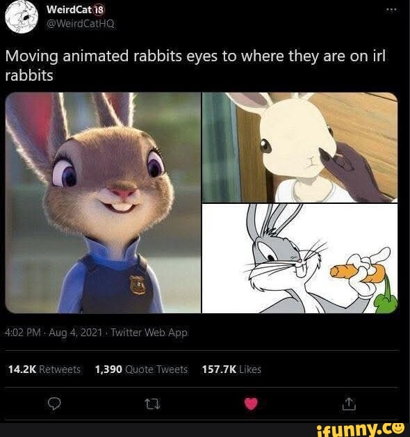 Moving animated rabbits eyes to where they are on irl rabbits 14.2K ...