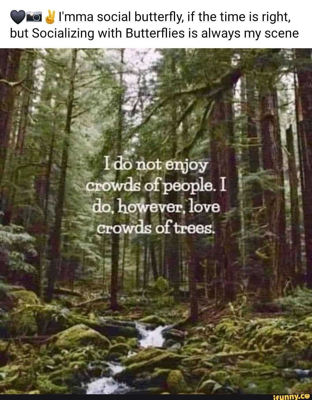 Butterfly memes. Best Collection of funny Butterfly pictures on iFunny