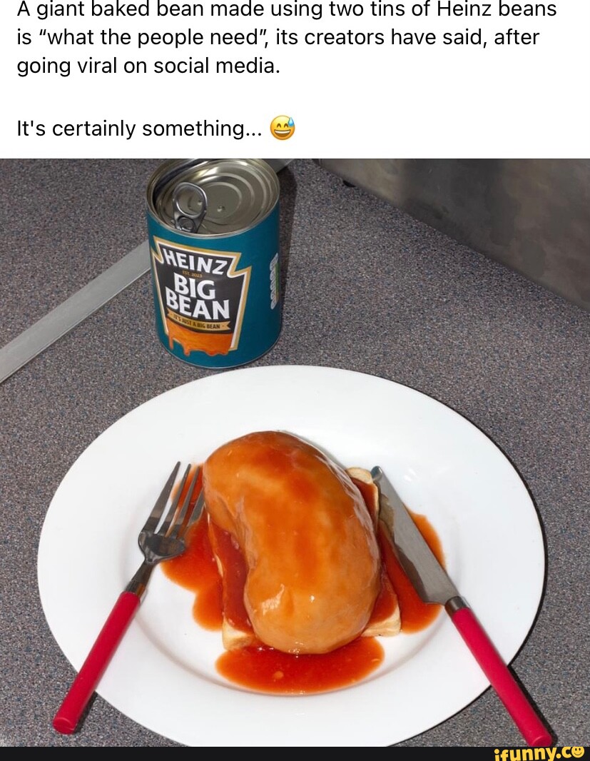 A giant baked bean made using two tins of Heinz beans is "what the ...