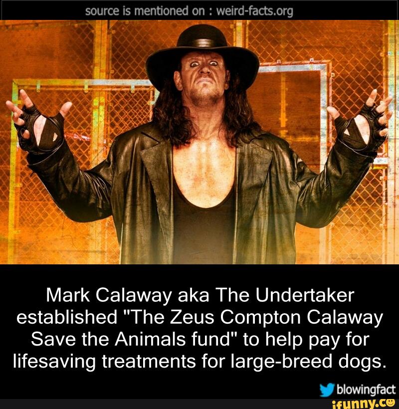Mark Calaway Wallpaper