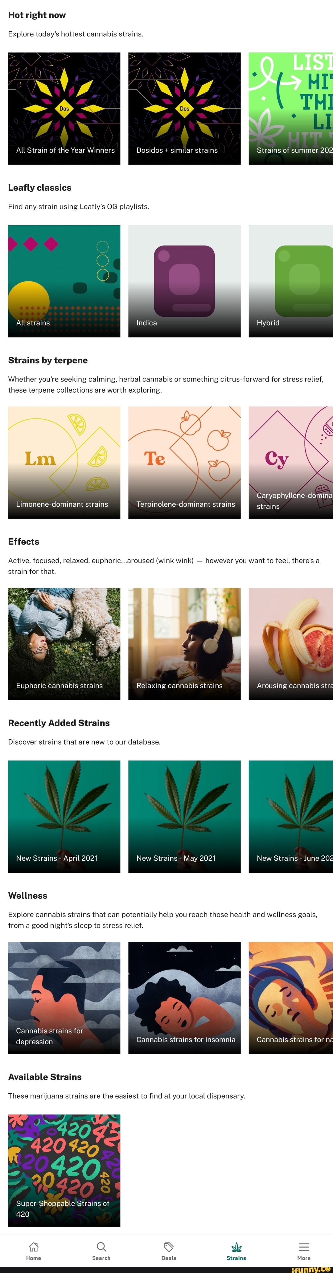 Strain memes. Best Collection of funny Strain pictures on iFunny