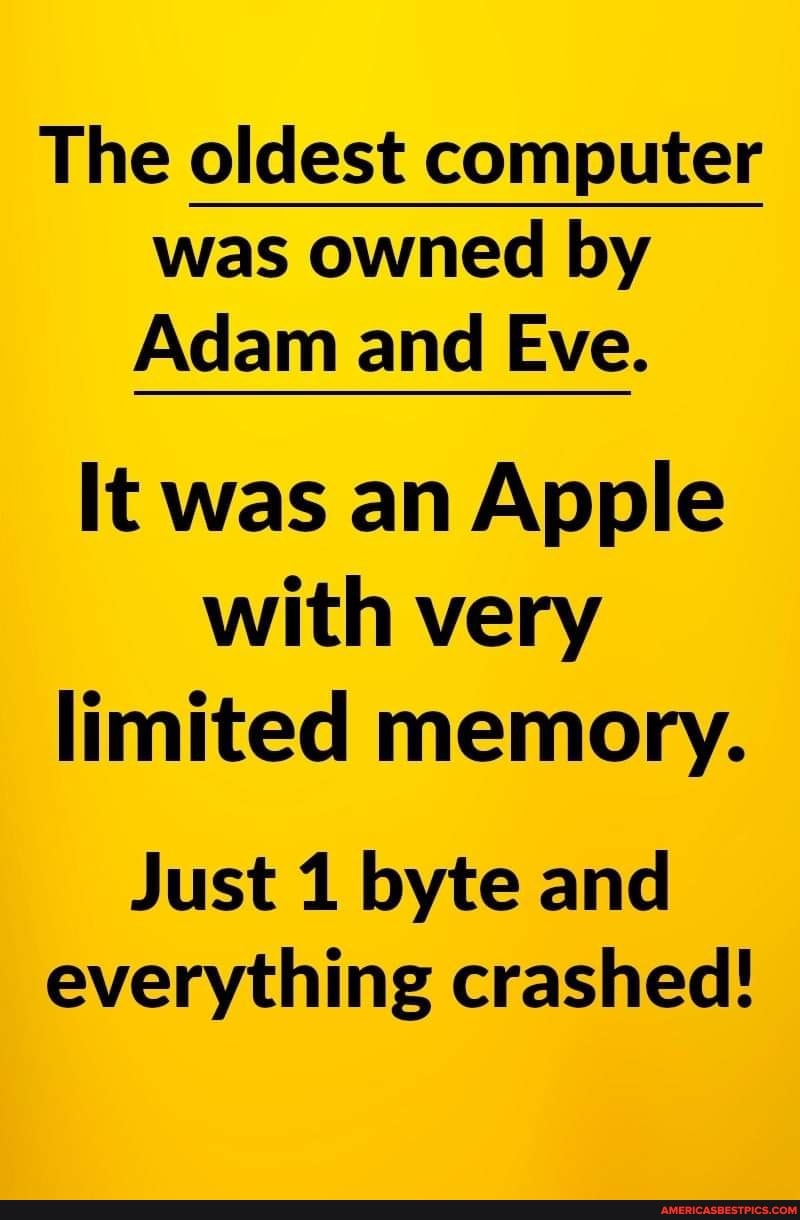 The oldest computer was owned by Adam and Eve. It was an Apple with ...