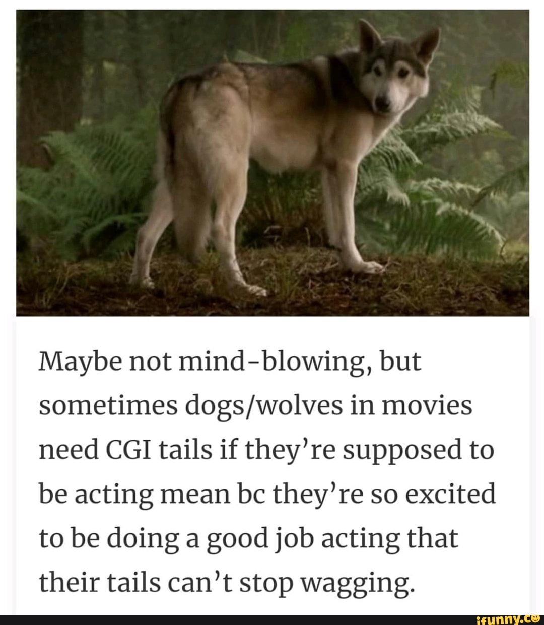 Maybe not mind-blowing, but sometimes dogs/wolves in movies need CGI ...