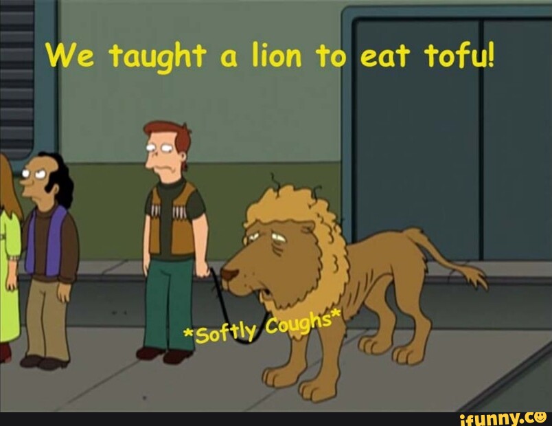 We taught a lion eat toful - iFunny