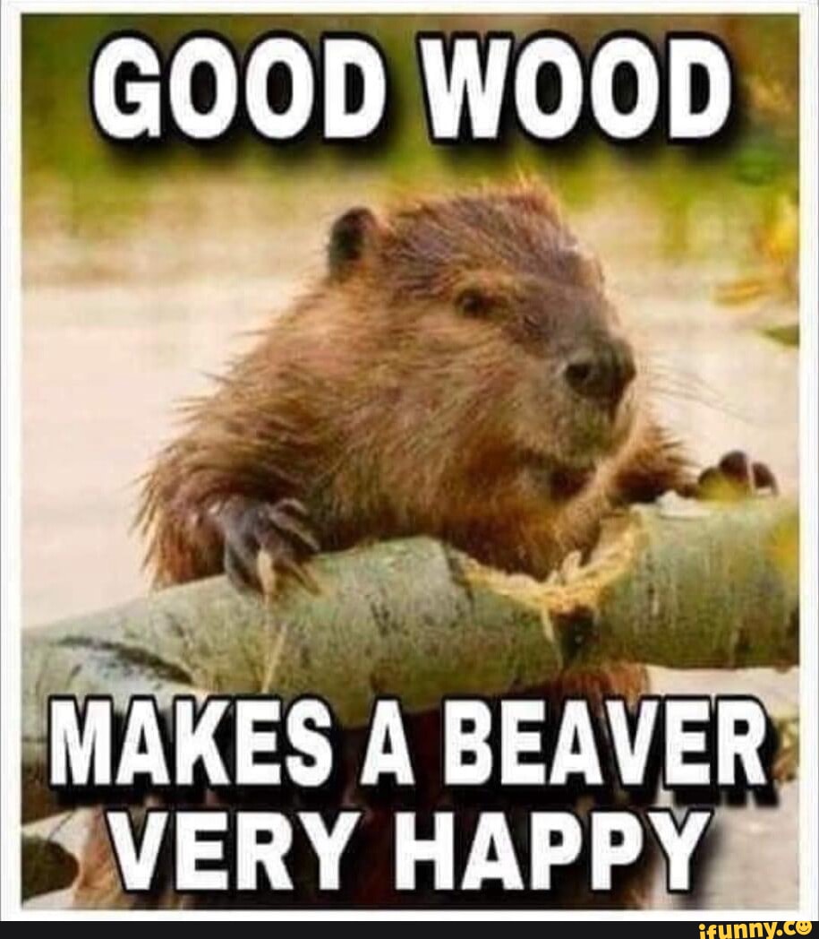 Wood memes. Best Collection of funny Wood pictures on iFunny