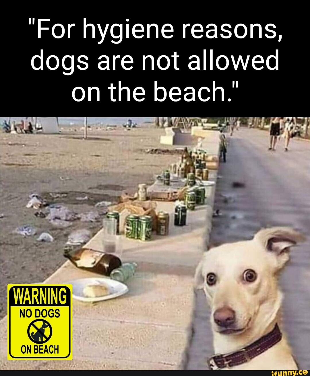 "For hygiene reasons, dogs are not allowed on the beach." NOD ON BEACH ...