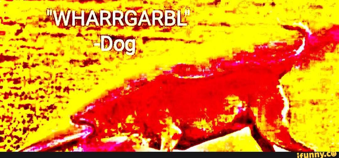 Wharrgarbl memes. Best Collection of funny Wharrgarbl pictures on iFunny