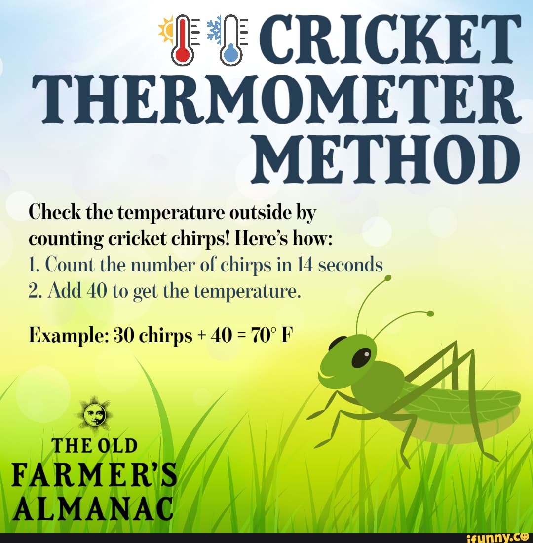 Thermometer memes. Best Collection of funny Thermometer pictures on iFunny