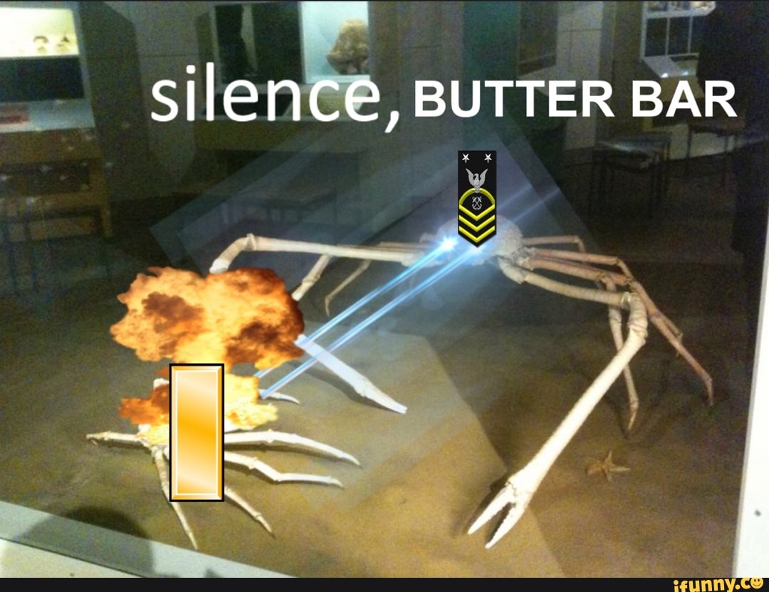 Experience outweighs rank. - silence, BUTTER BAR - iFunny