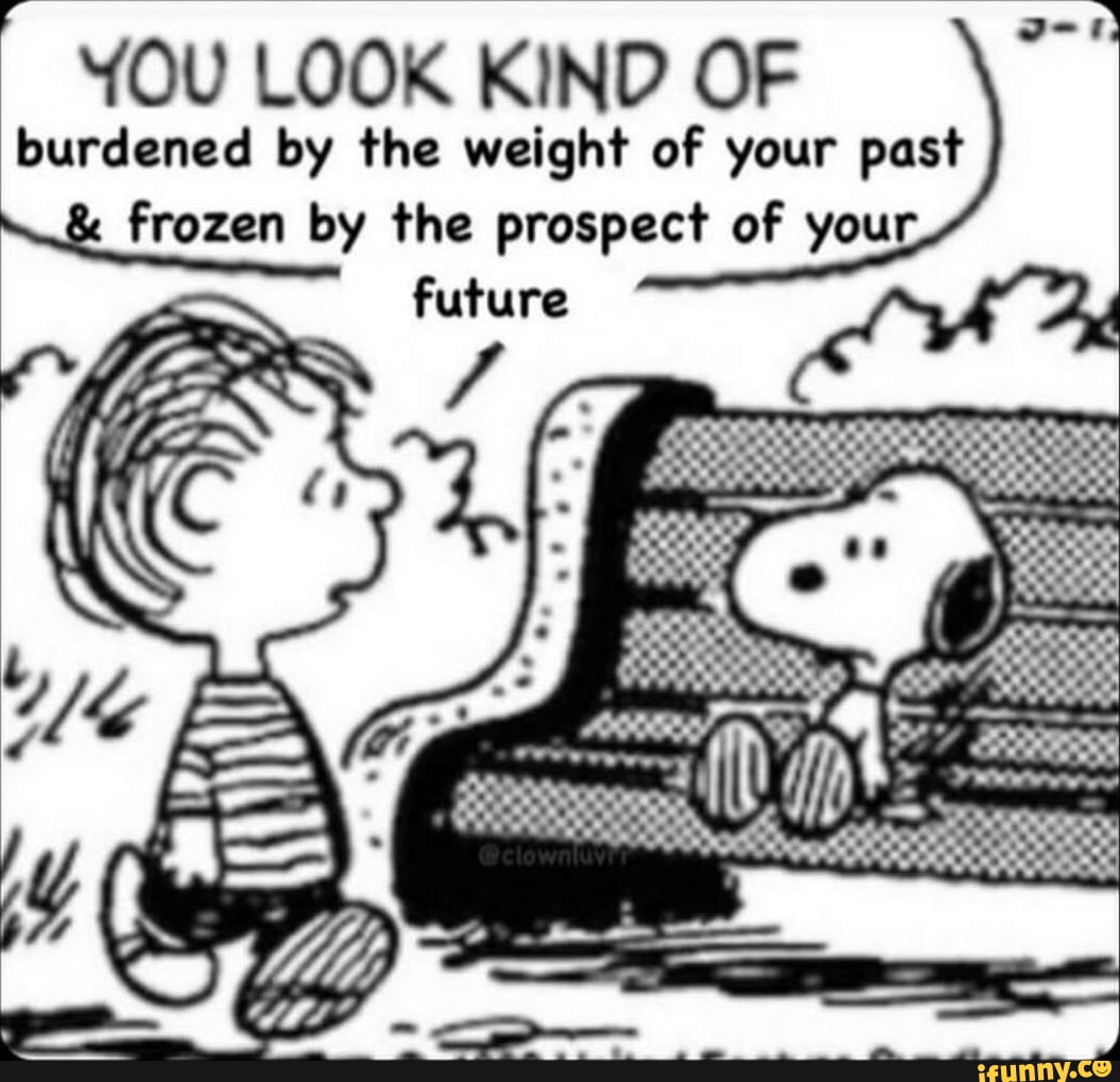 Linus memes. Best Collection of funny Linus pictures on iFunny