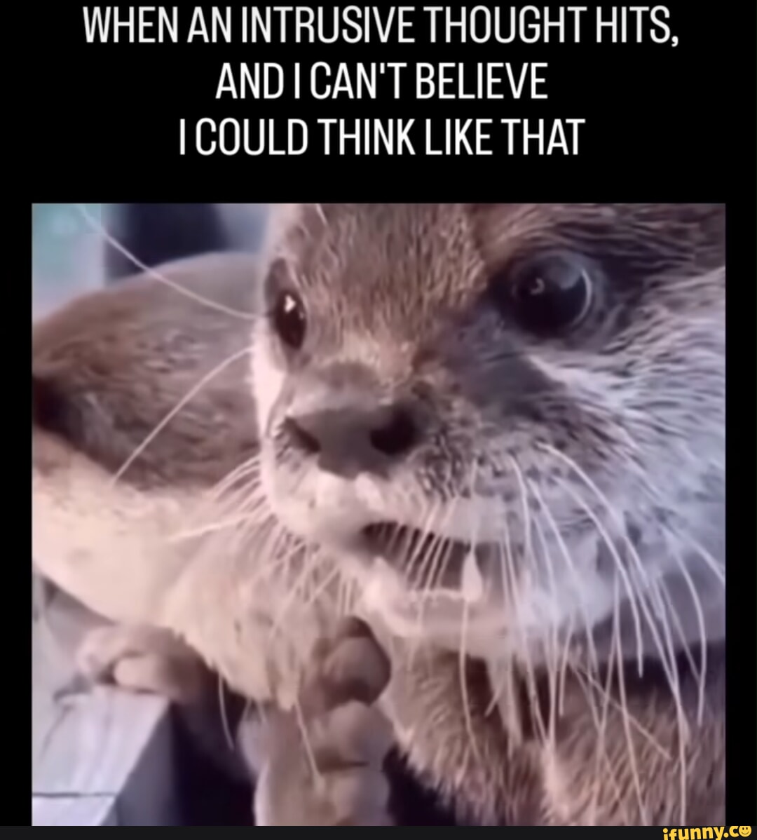 Intrusive memes. Best Collection of funny Intrusive pictures on iFunny