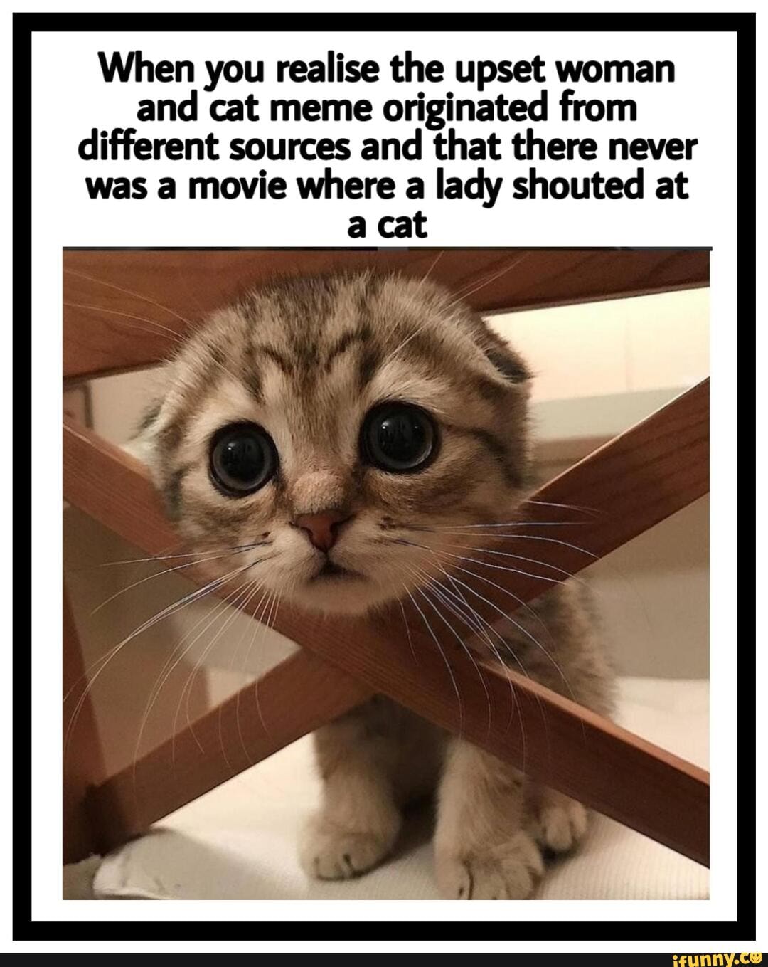 When you realise the upset woman and cat meme originated from different ...