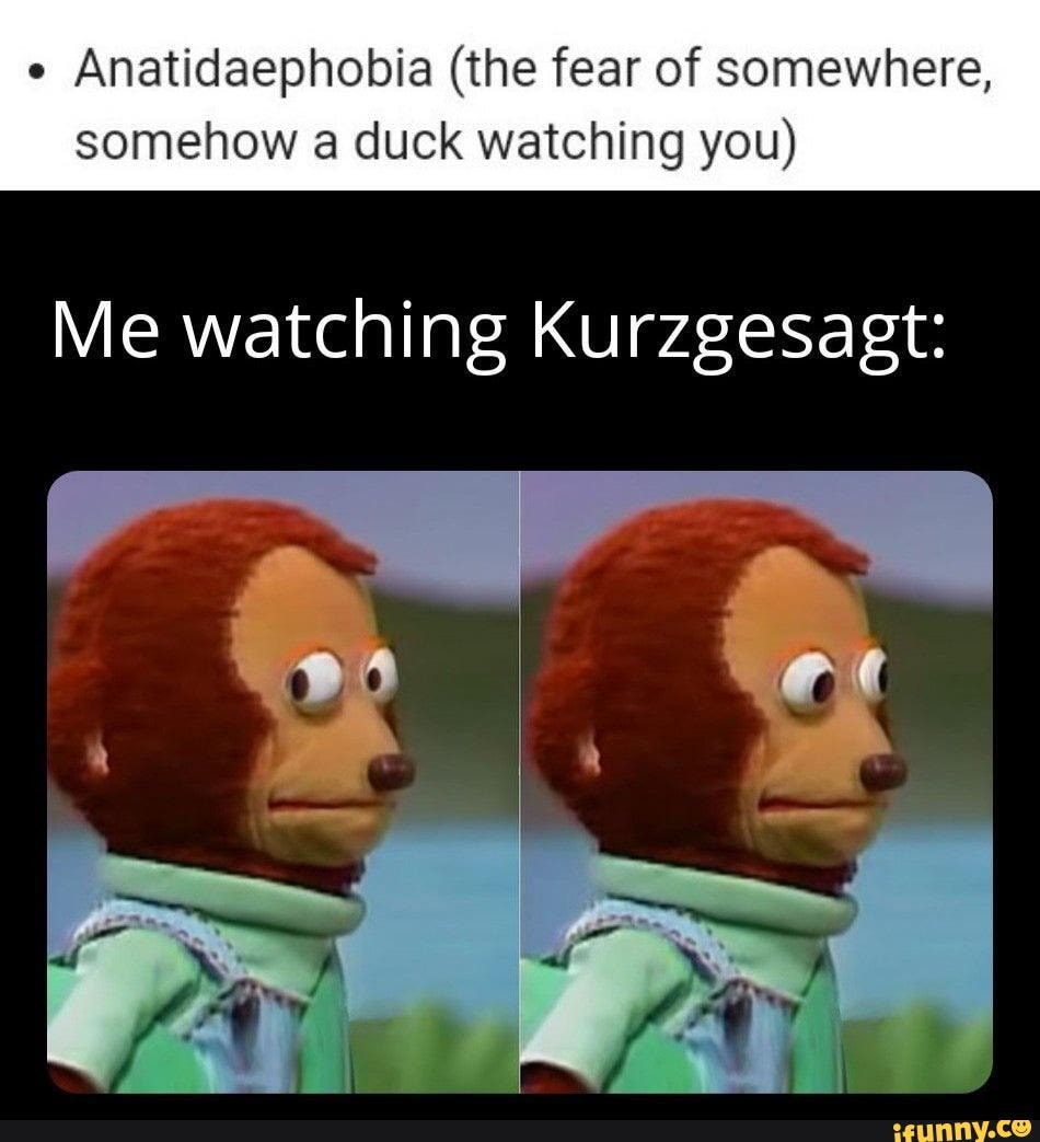 Anatidaephobia (the fear of somewhere, somehow a duck watching you) Me ...
