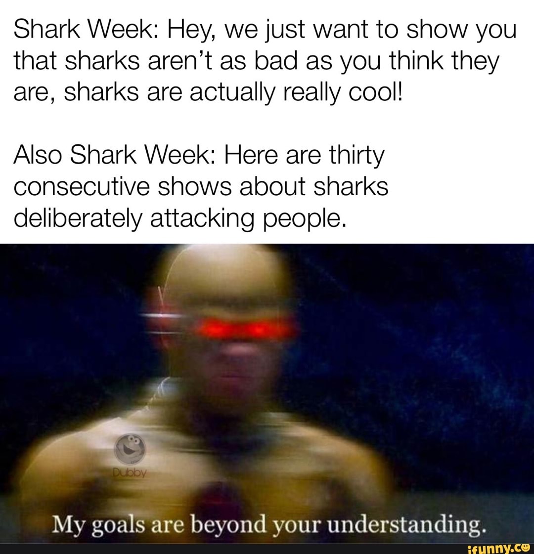 Shark Week: Hey, we just want to show you that sharks aren't as bad as ...