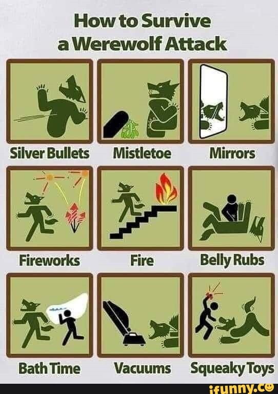 How to Survive a Werewolf Attack Bullets Mistletoe Silver Bullets ...