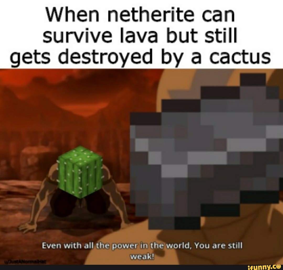 When netherite can Survive lava but still gets destroyed by a cactus ...