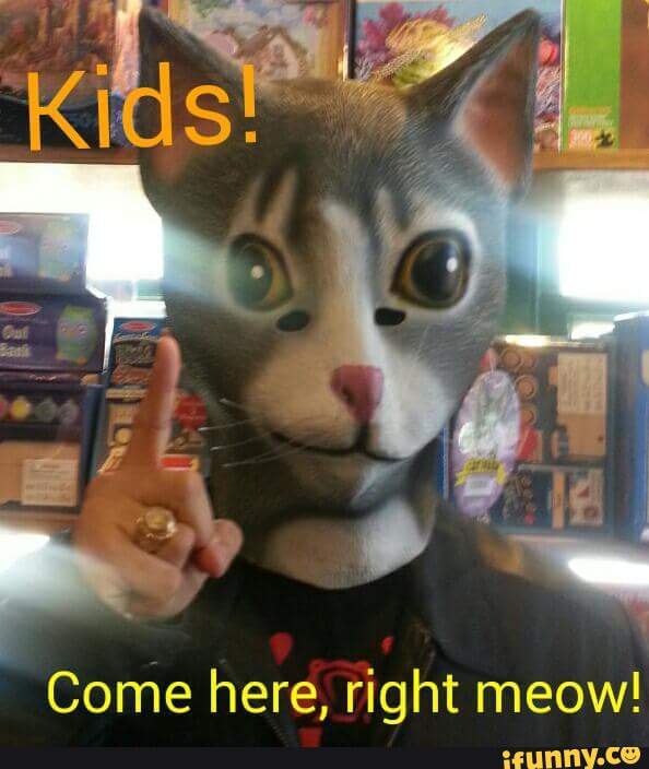 Kids! Come here. Right. Meow! - Come here, right meow! - iFunny