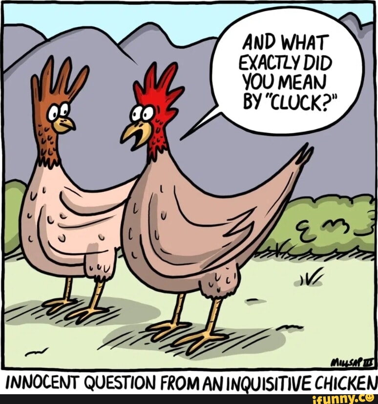 AND WHAT EXACTLY DID YOU MEAN BY "CLUCK?" INNOCENT QUESTION FROM AN ...
