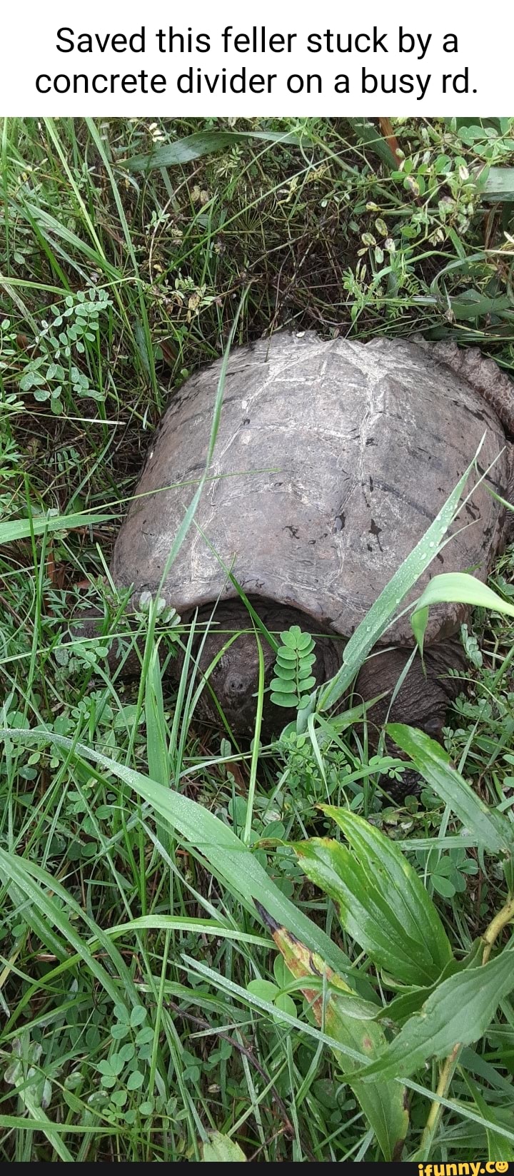 Saved memes. Best Collection of funny Saved pictures on iFunny