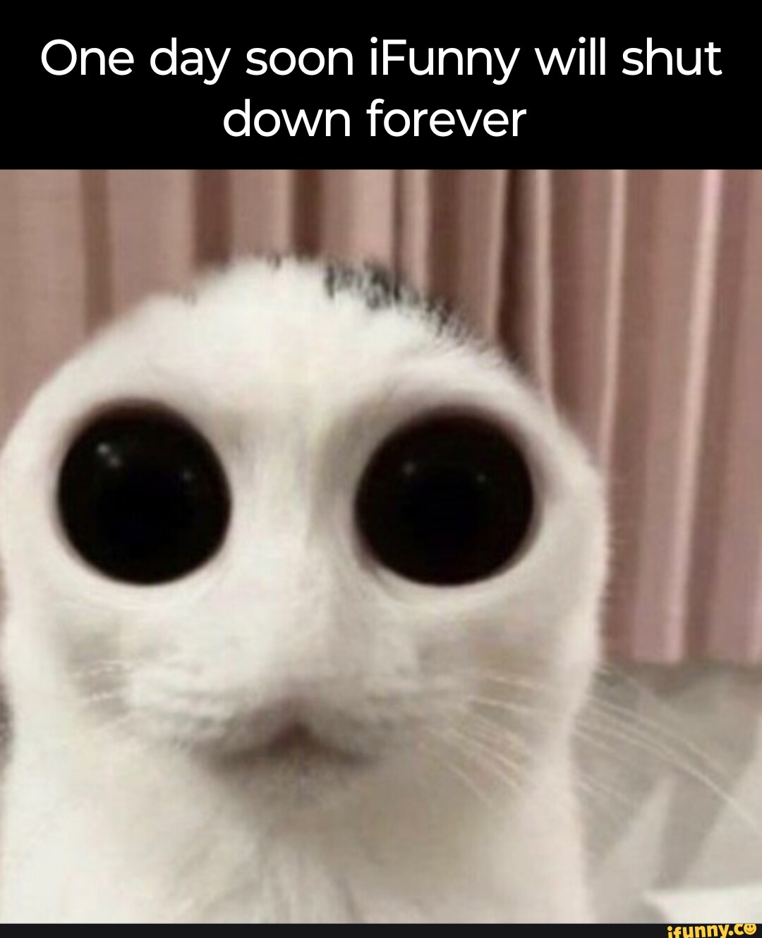 One day soon iFunny will shut down forever - iFunny