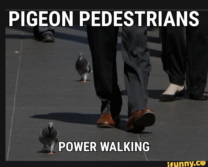Powerwalking memes. Best Collection of funny Powerwalking pictures on ...