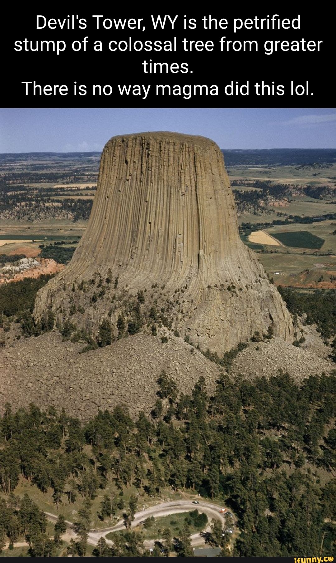 Devil's Tower, WY is the petrified stump of a colossal tree from ...