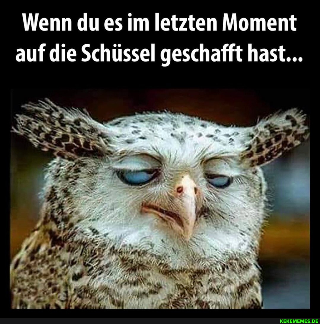 Die besten Memes für dich! #meme #memes #deutschememes #memesdeutsch # ...